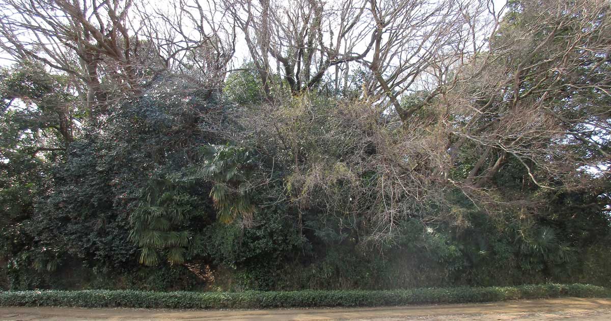 菊間天神山古墳。市原市菊間にある旧跡・名所