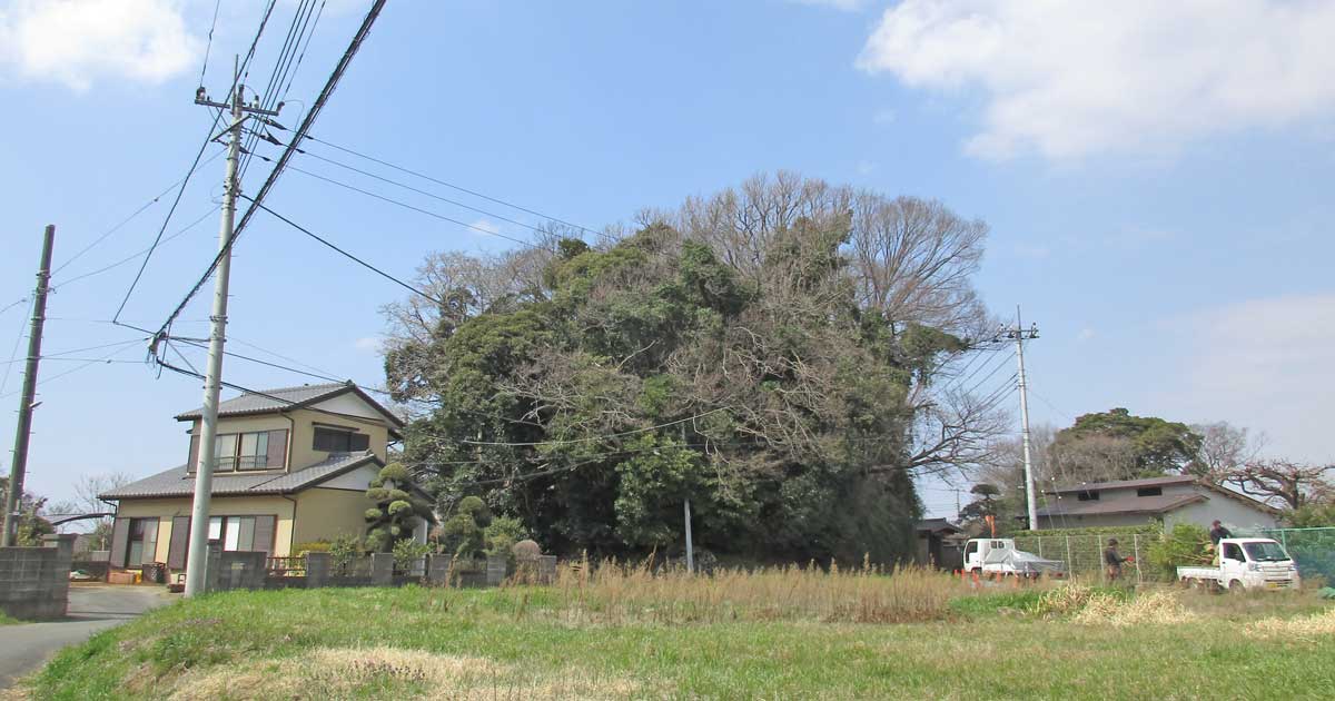 菊間東関山古墳。市原市菊間にある旧跡・名所